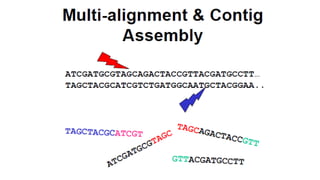 Sanger-Shortgun sequencing.pdf