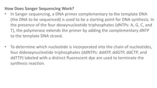 Sanger-Shortgun sequencing.pdf
