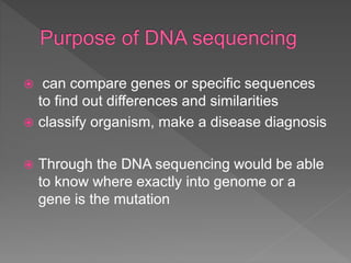 Sanger sequencing | PPT