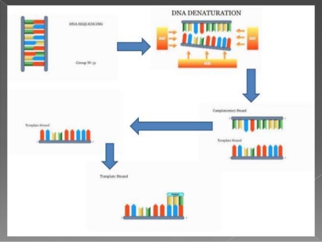 Sanger sequencing