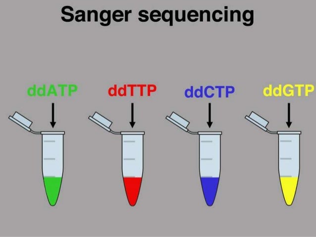 Sanger sequencing