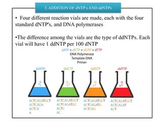 Sanger sequencing (DNA sequencing by ENZYMATIC METHOD) | PPTX
