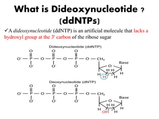 Dideoxynucleotide Sequencing
