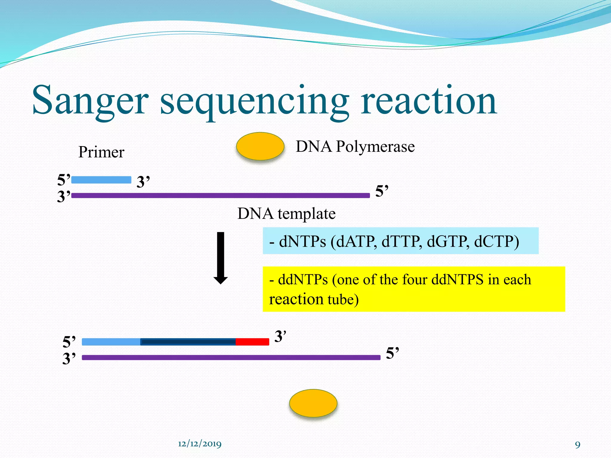 Sanger sequencing revised | PPTX