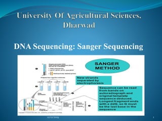 Sanger sequencing revised | PPTX