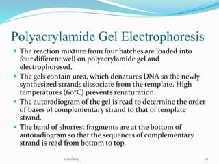 Sanger sequencing revised | PPTX