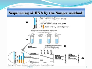 Sanger sequencing revised | PPTX