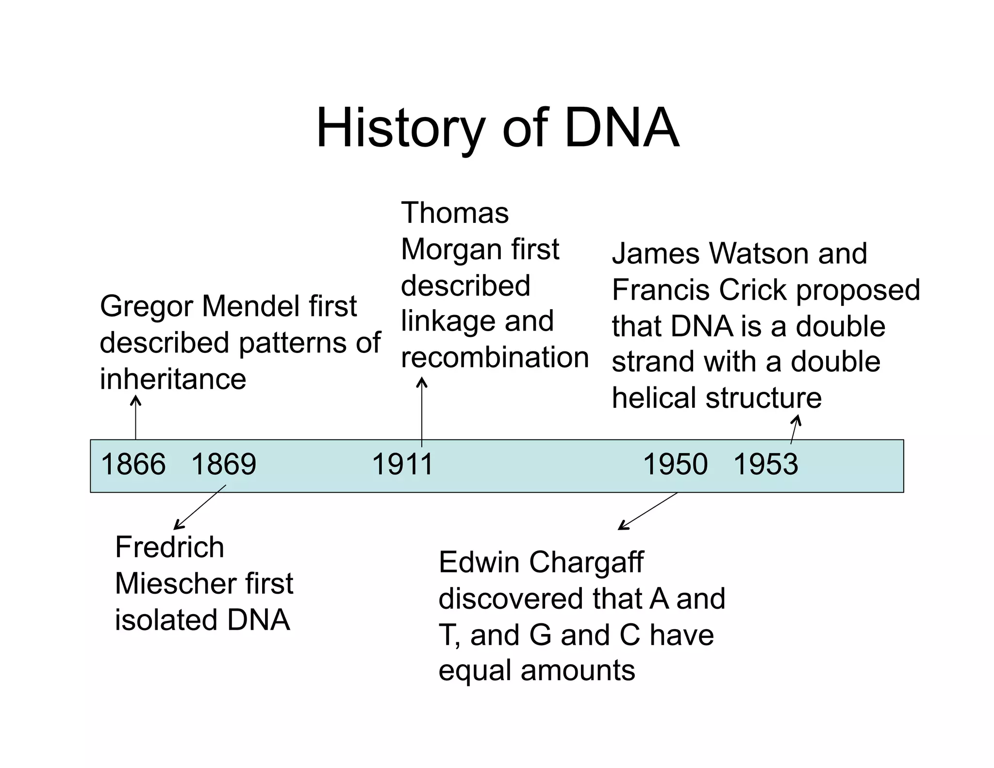 Sanger Sequencing | PDF