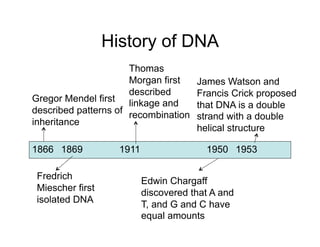 Sanger Sequencing | PDF