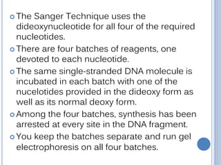 Sanger Technique | PPTX