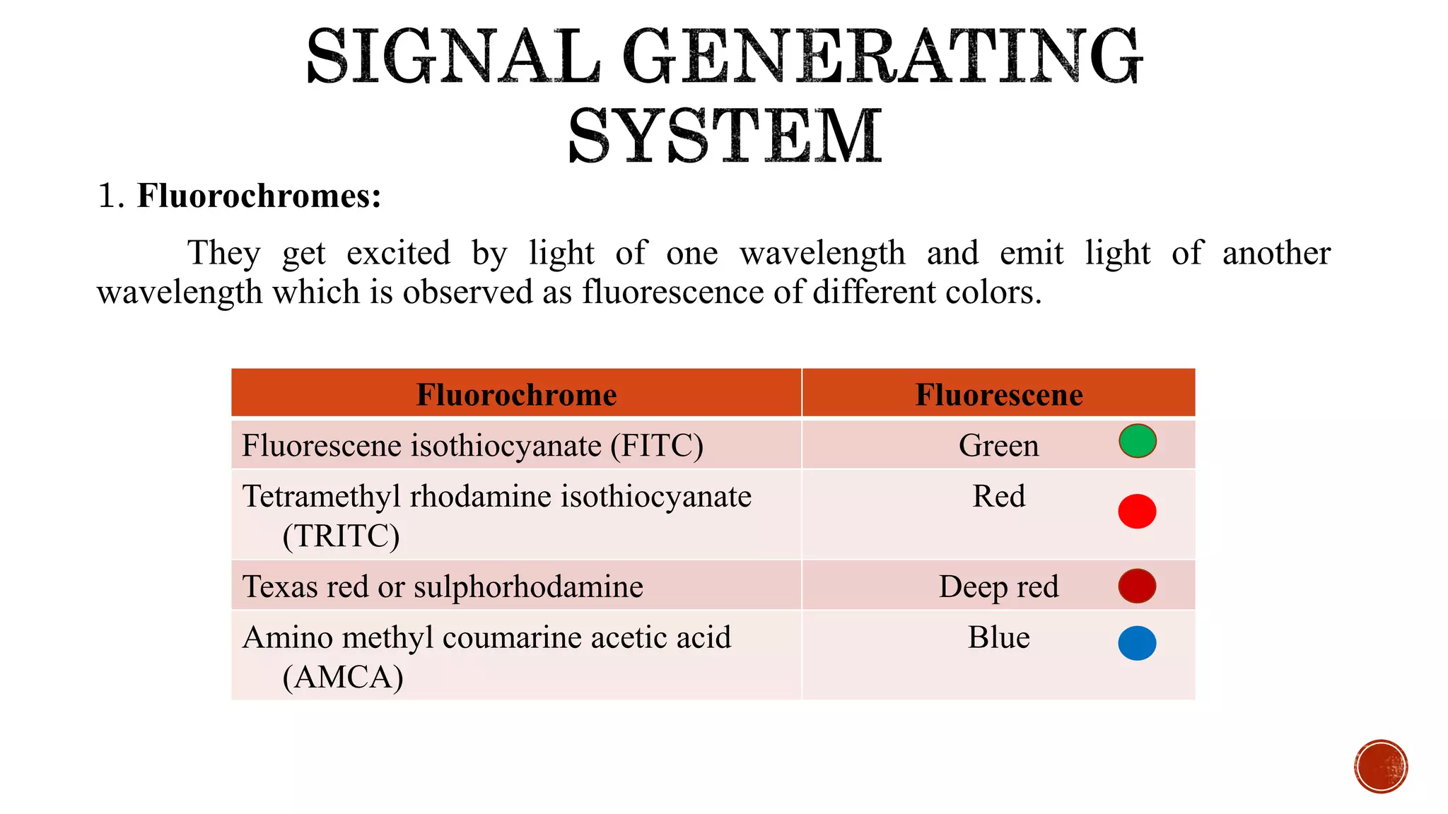 GISH AND FISH | PPTX