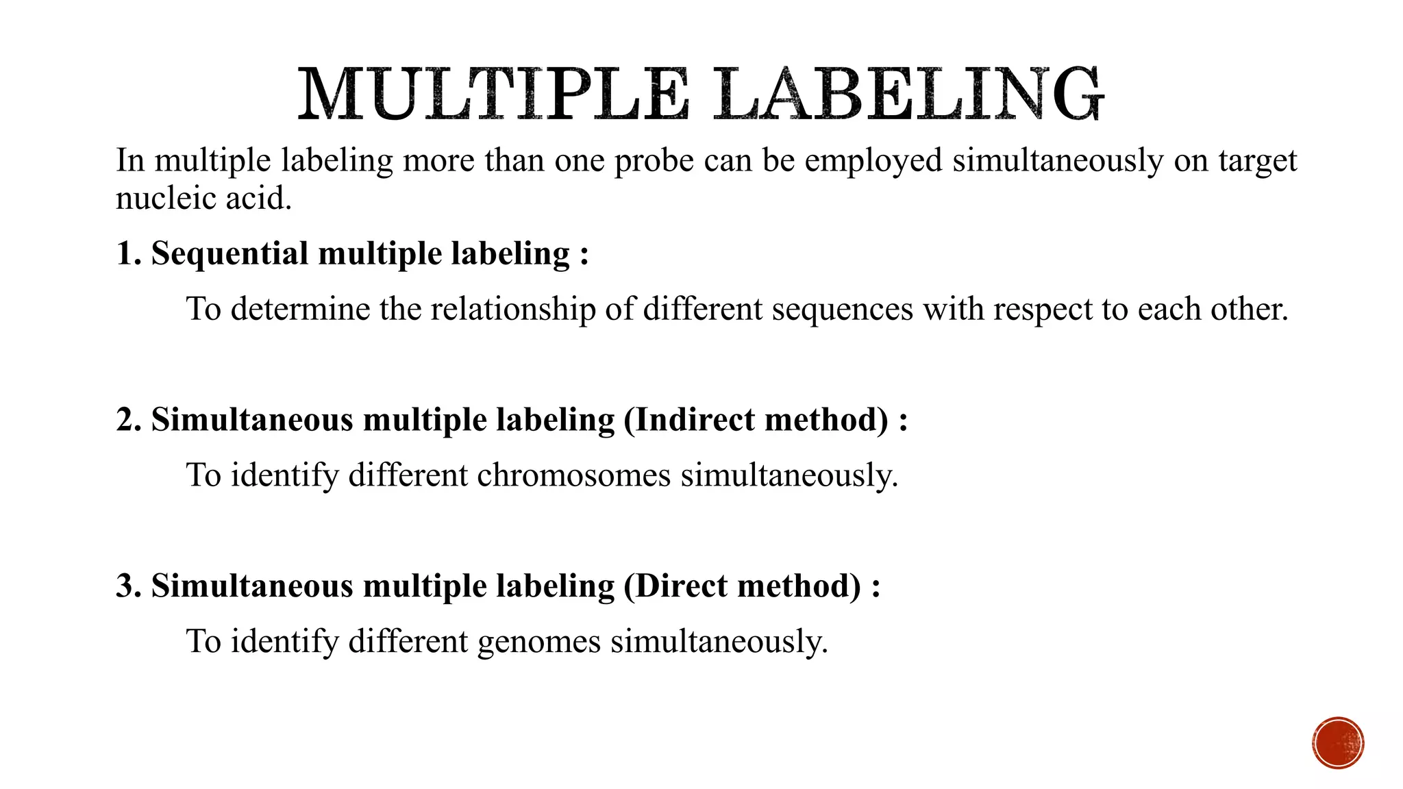 GISH AND FISH | PPTX