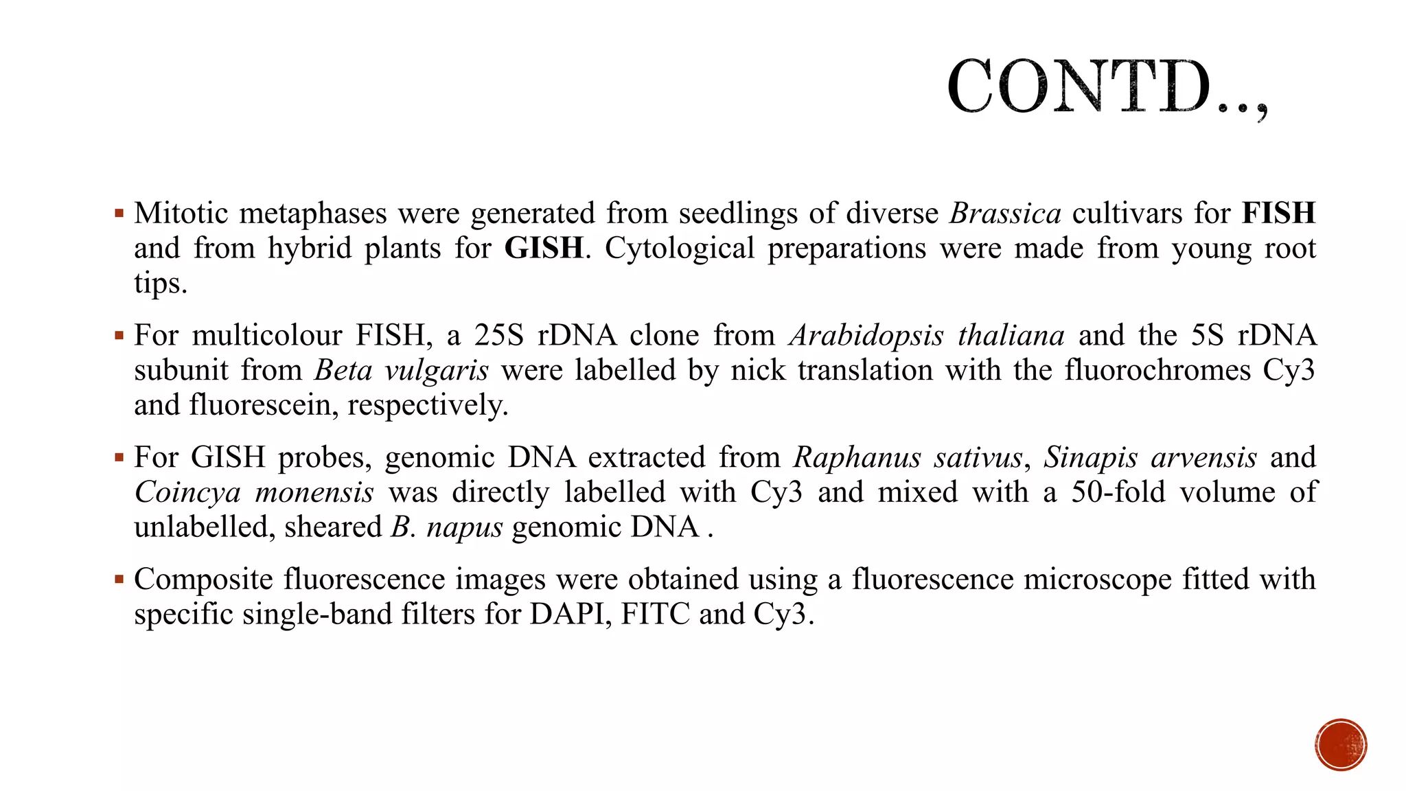 GISH AND FISH | PPTX