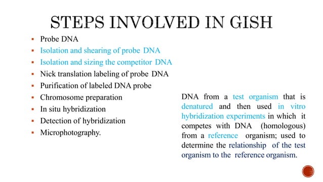 GISH AND FISH | PPTX