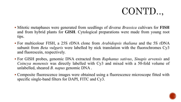 GISH AND FISH | PPTX