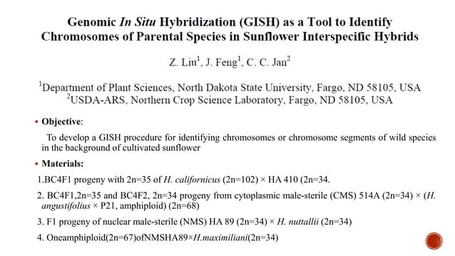 GISH AND FISH | PPTX
