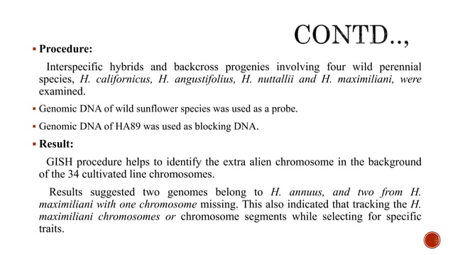 GISH AND FISH | PPTX