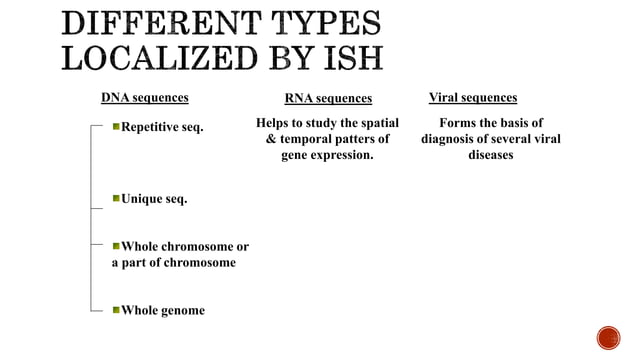 GISH AND FISH | PPTX
