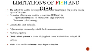 GISH AND FISH | PPT