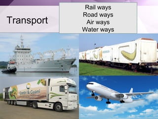 Transportation of fruits and vegetables | PPT