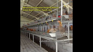 Sangkar Ayam Bangkok Besi Tahan Rayap, Wa. 0858-7670-4000.pptx