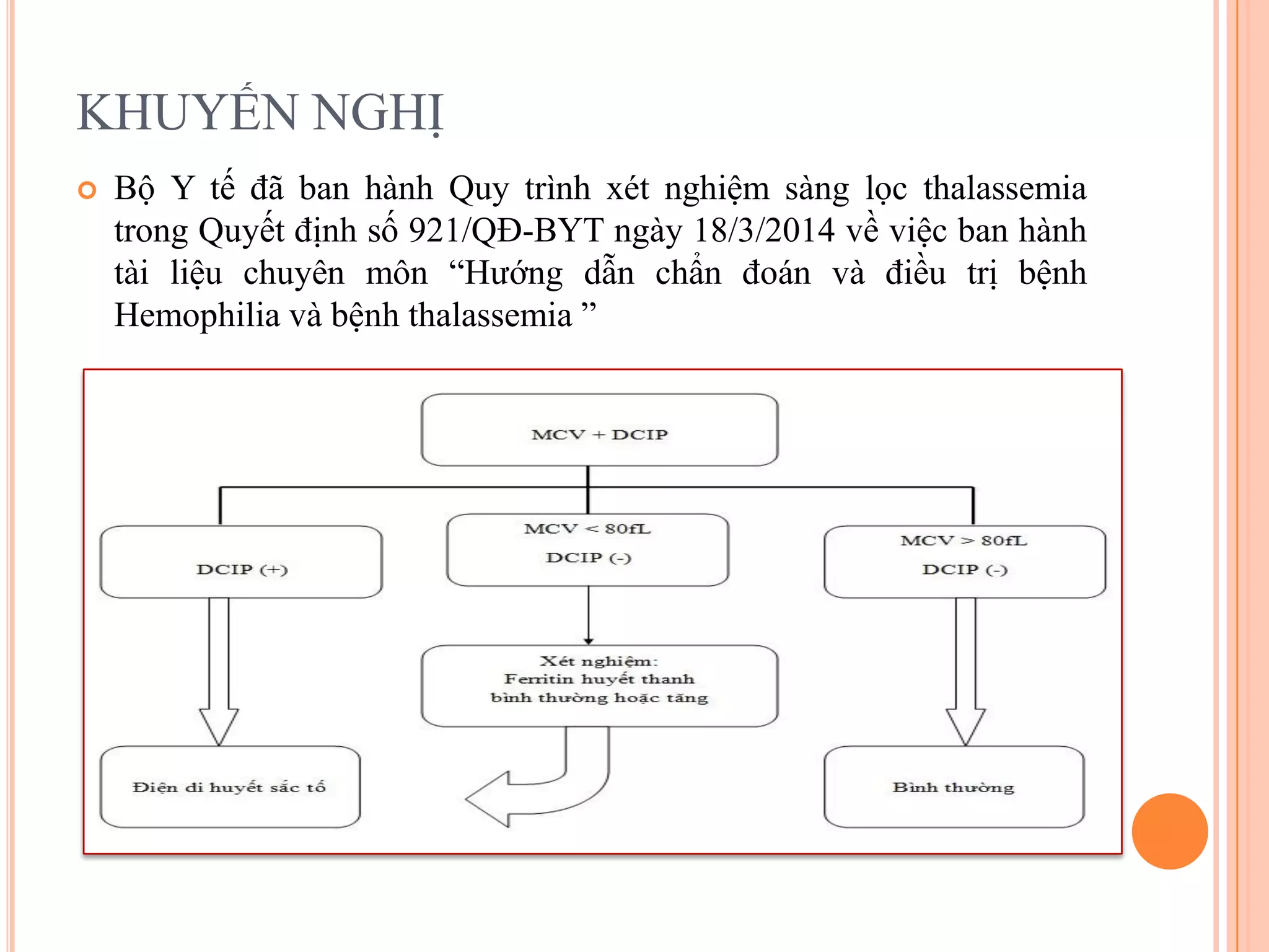 Sang loc thalassemia | PDF