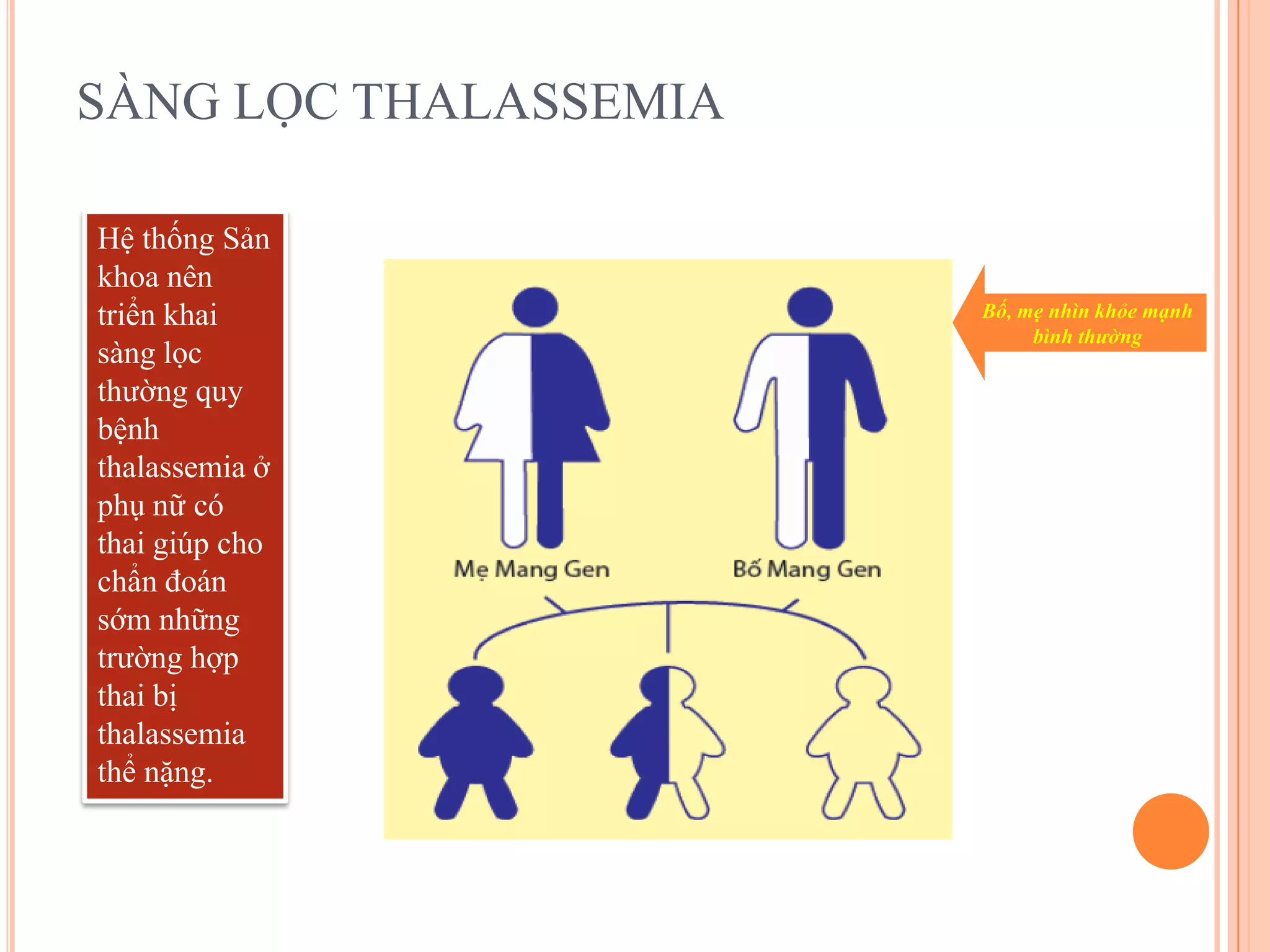 Sang loc thalassemia | PDF