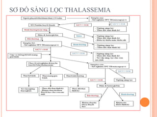 Sang loc thalassemia | PDF