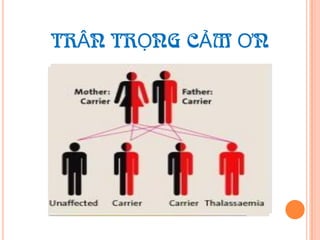 Sang loc thalassemia | PDF