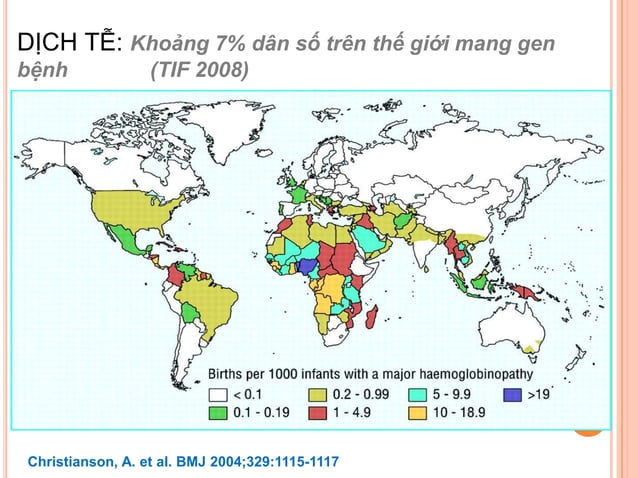 Sang loc thalassemia | PDF