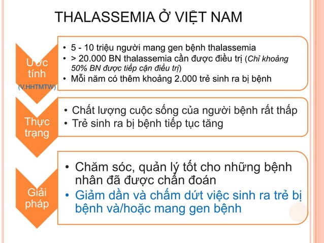 Sang loc thalassemia | PDF