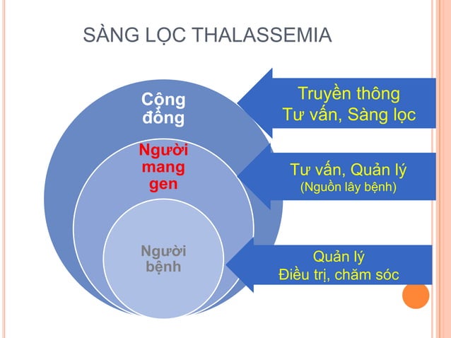 Sang loc thalassemia | PDF