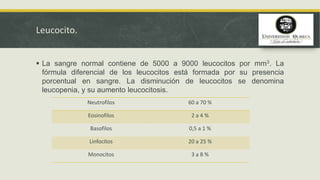 Sangre | PPTX