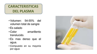 GENERALIDADES DE SANGRE | PPTX