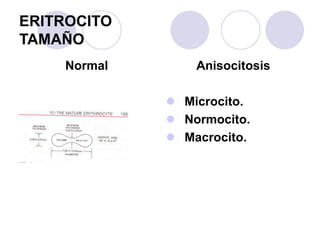 Sangre y tipos .ppt