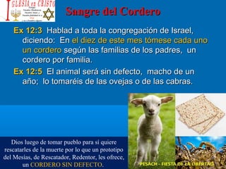 Sangre del cordero | PPT