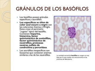 SANGRE_HEMATOPOYESIS.pptx