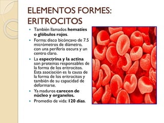 SANGRE_HEMATOPOYESIS.pptx