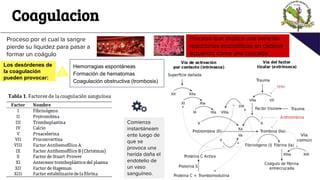 Sangre y hemostasia - Fisiología | PPTX