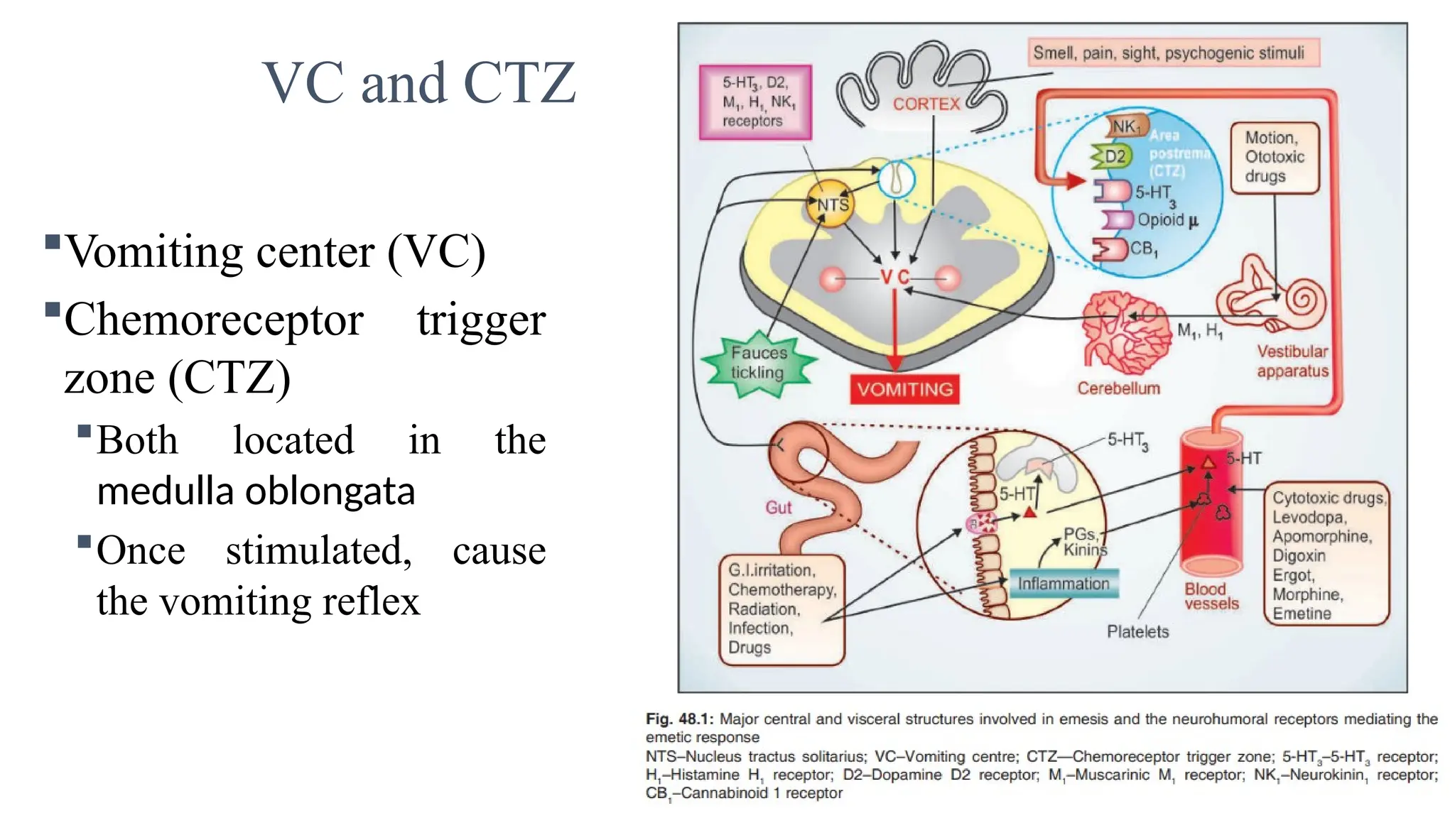 Gastrointestinal drugs and its adverse effects.pptx
