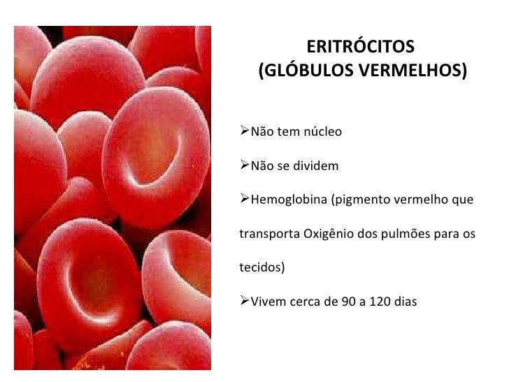Sangue