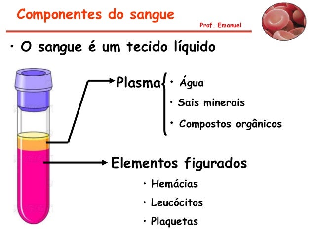 Sangue (histologia)