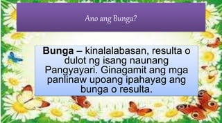 Sanhi-at-bunga-G-8.pptx