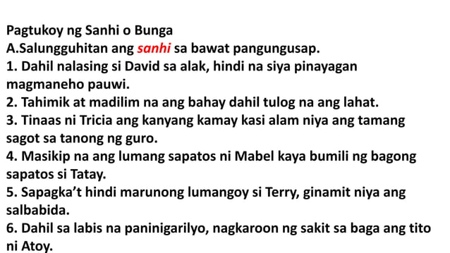 SANHI AT BUNGA.pptx