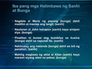 Sanhi at Bunga.pptx