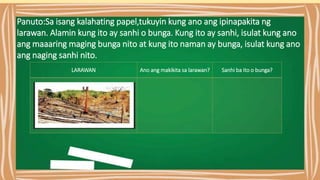 SANHI AT BUNGA.pptx