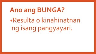 Sanhi at bunga sample activities Filipino4.pptx