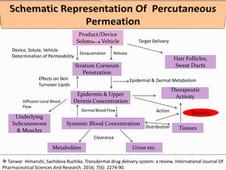 TRANSDERMAL DRUG DELIVERY SYSTEMS | PPTX