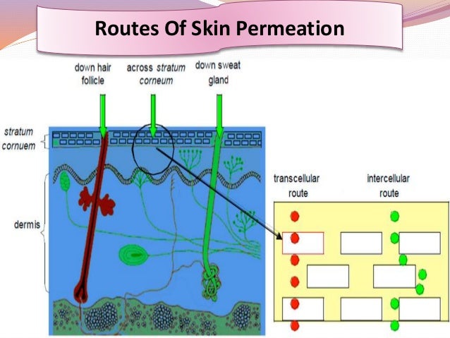 TRANSDERMAL DRUG DELIVERY SYSTEMS