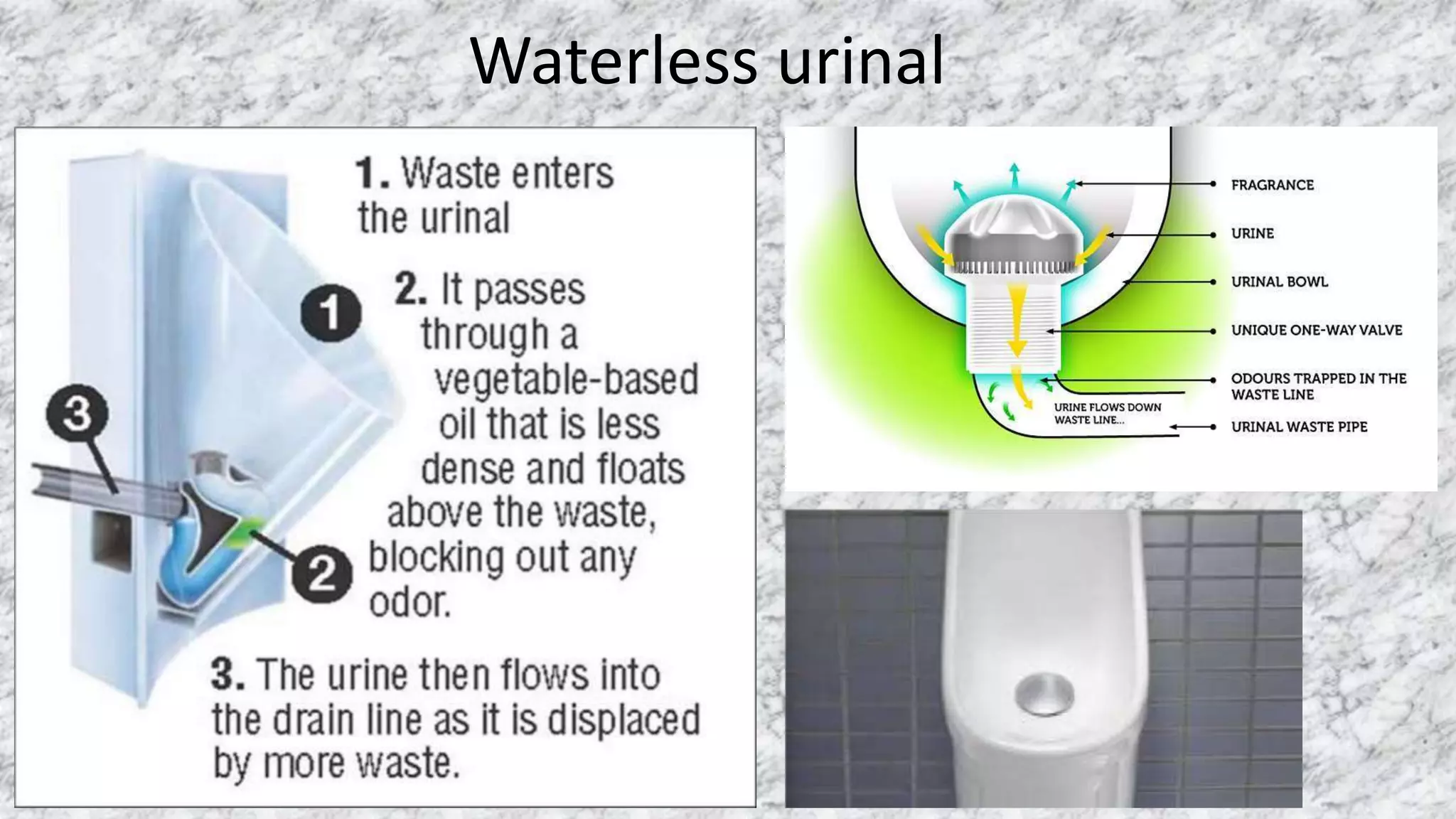 Sanitary fittings and accesories | PPTX